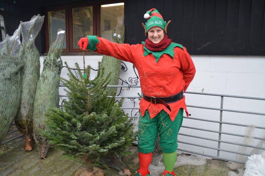 Top Baby & Family-Friendly Christmas Activities in London and the South-East | Bach to Baby