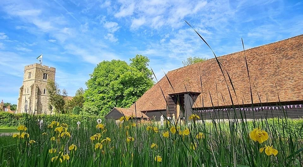 Music Concerts for Baby and Family in Lenham - Kent | Bach to Baby