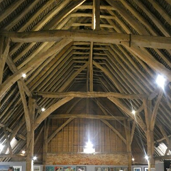 Music Concerts for Baby and Family in Lenham - Kent | Bach to Baby